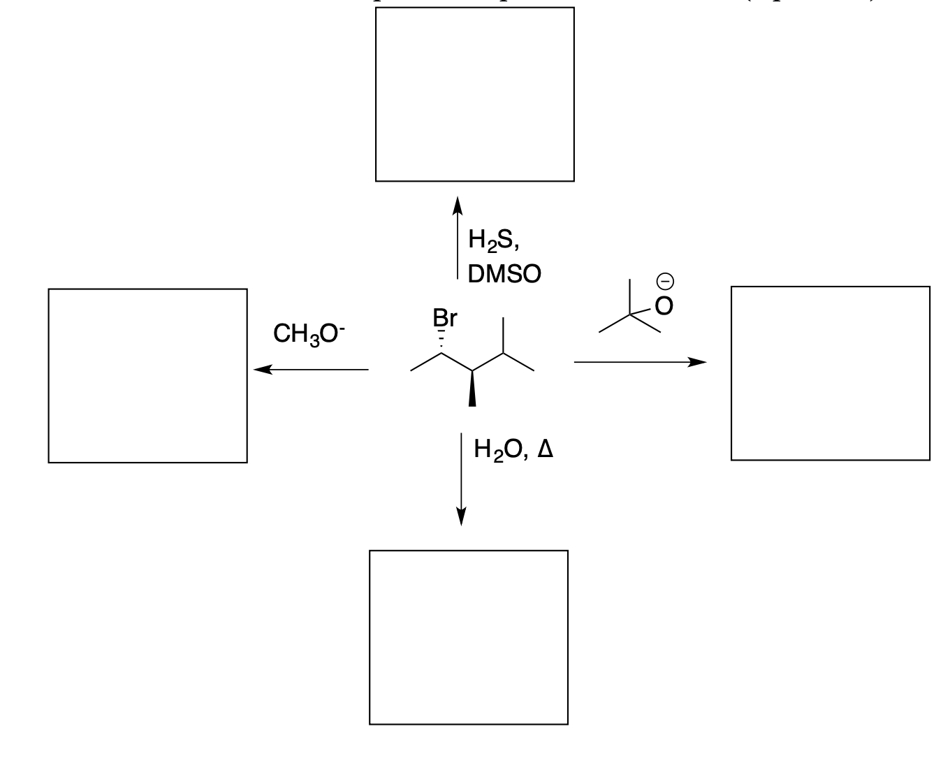 Solved Draw The Structure Of The Major Product Expected In
