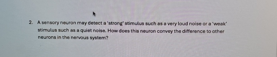 Solved A sensory neuron may detect a 'strong' stimulus such | Chegg.com