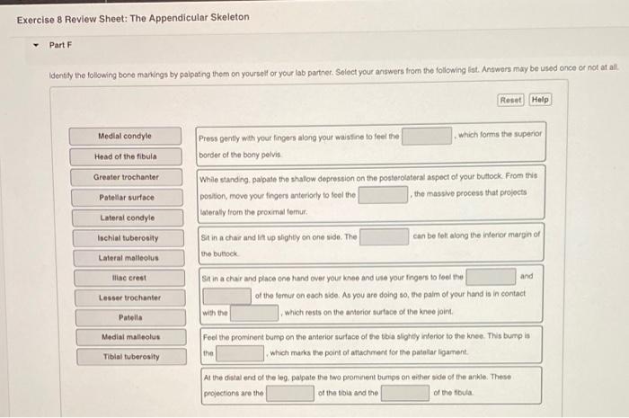 Solved Exercise 8 Review Sheet: The Appendicular Skeleton | Chegg.com