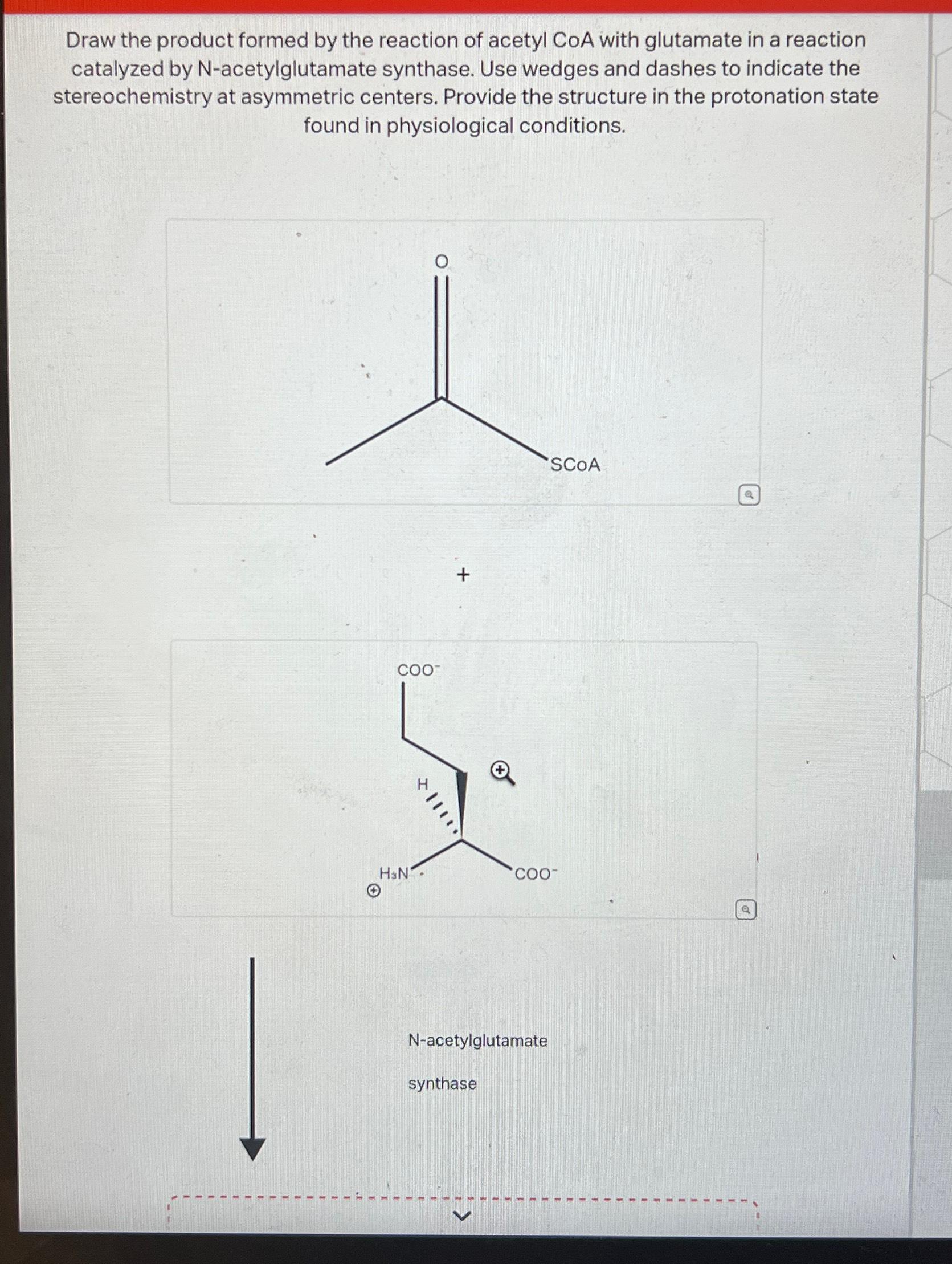 Solved Draw the product formed by the reaction of acetyl CoA | Chegg.com