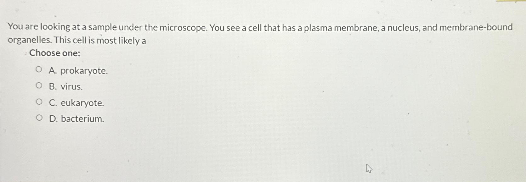 Solved You are looking at a sample under the microscope. You | Chegg.com