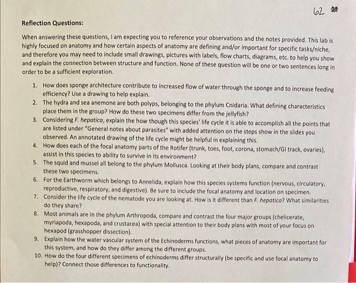 Solved Reflection Questions: When answering these questions, | Chegg.com
