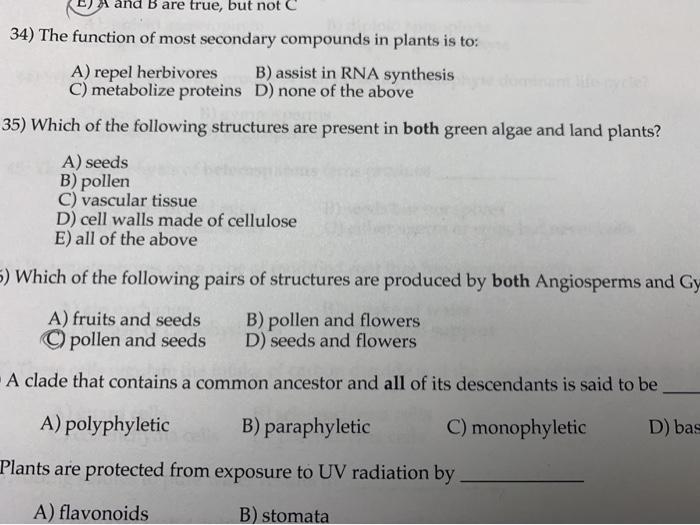 Solved C) and B are true, but not 34) The function of most | Chegg.com