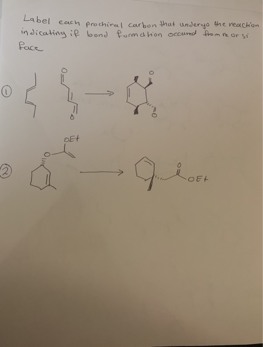 Solved Label each prochiral carbon that undergo the reaction | Chegg.com