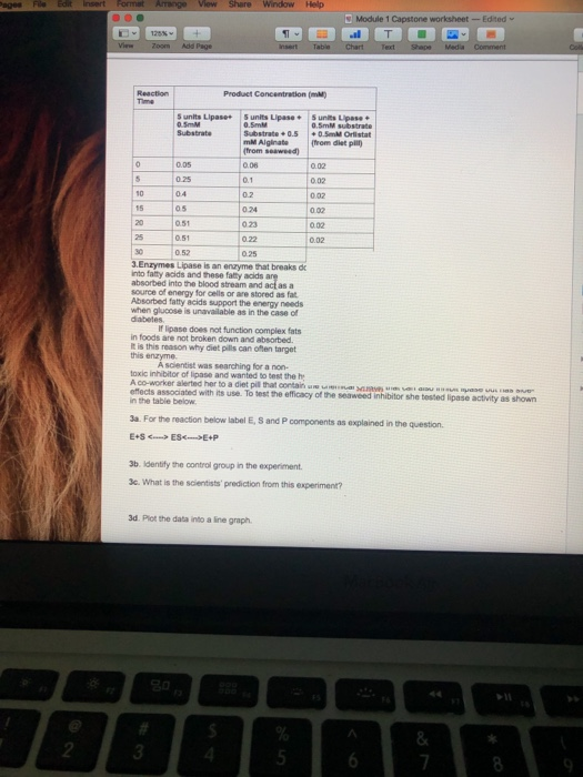 Solved File Edit Format Amange View Share Window Help 91 | Chegg.com