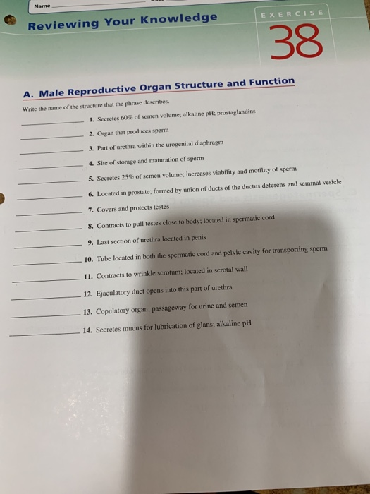 Solved EXERCISE Reviewing Your Knowledge A. Male | Chegg.com