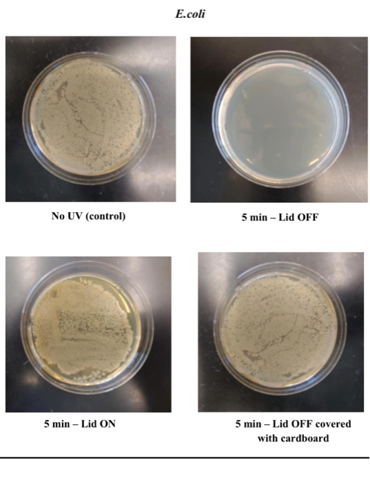 Solved Control of Microbial Growth: UV Radiation - RESULTS | Chegg.com