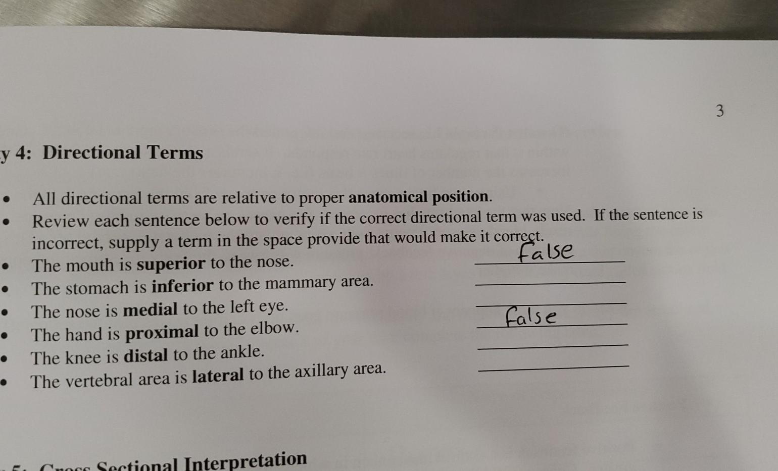Solved 3 y 4: Directional Terms All directional terms are | Chegg.com