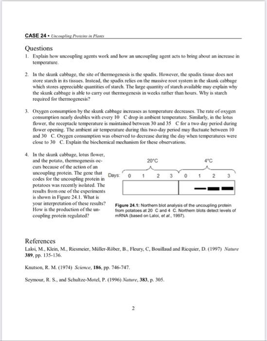 Solved Focus concept Uncoupling proteins in plants uncouple | Chegg.com