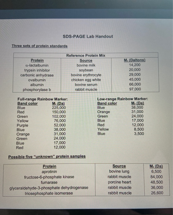 Solved What would you expect a gel to look like after you've | Chegg.com