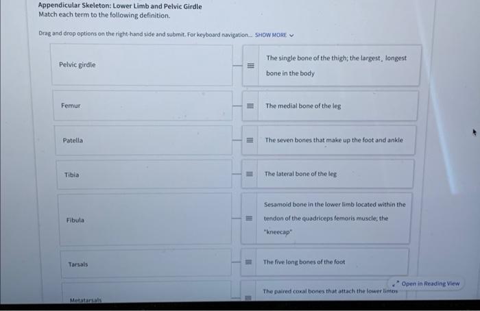 Solved Appendicular Skeleton: Lower Limb and Pelvic Girdle | Chegg.com