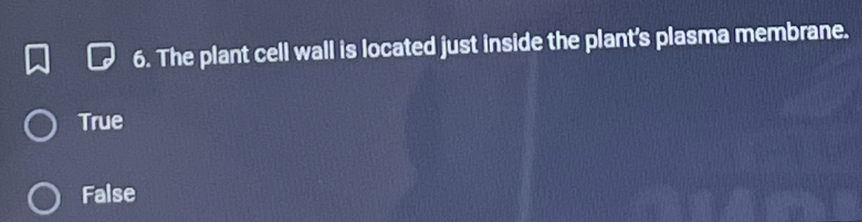 Solved The plant cell wall is located just inside the | Chegg.com
