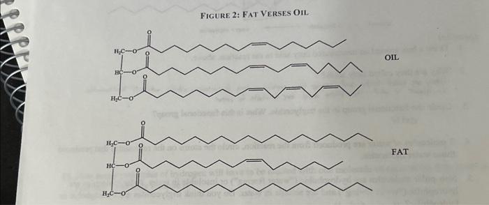 Solved Figure 2: FAT VERSES OIL10. The has a lower melting | Chegg.com