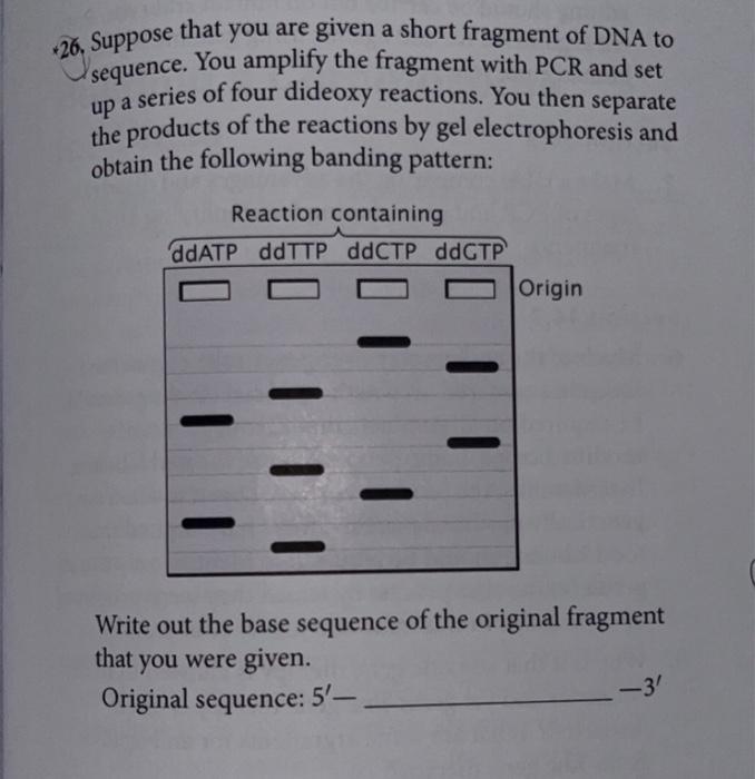 Solved *26. Suppose that you are given a short fragment of | Chegg.com