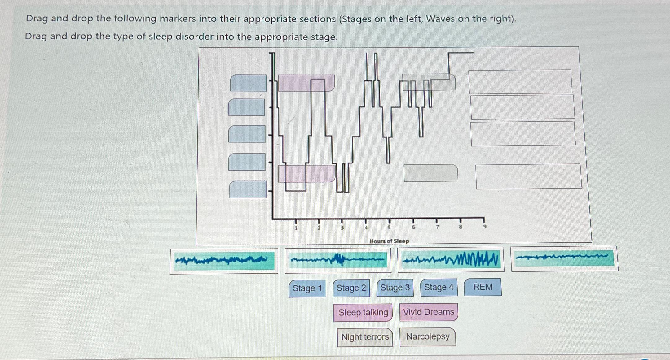 Solved Drag and drop the following markers into their | Chegg.com