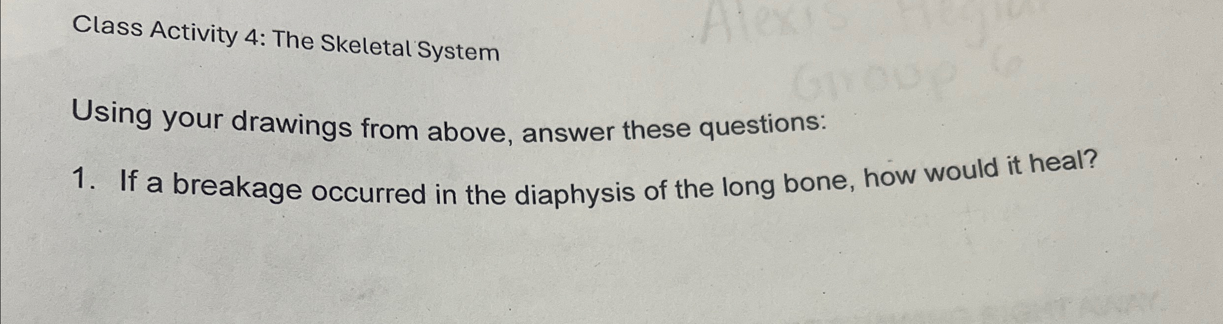 Solved Class Activity 4: The Skeletal SystemUsing your | Chegg.com