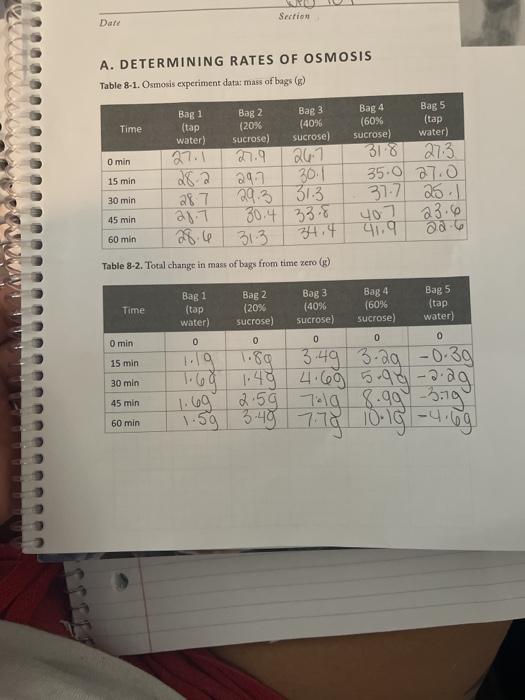 Solved Section Date A. DETERMINING RATES OF OSMOSIS Table | Chegg.com