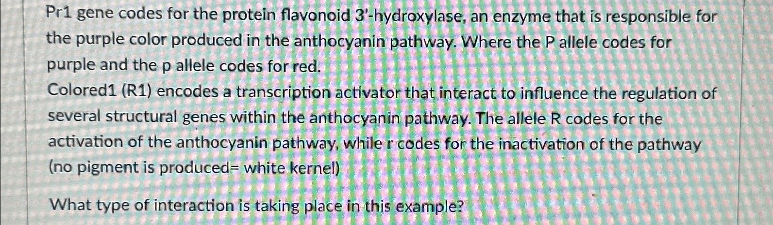 Solved Pr1 ﻿gene codes for the protein flavonoid | Chegg.com