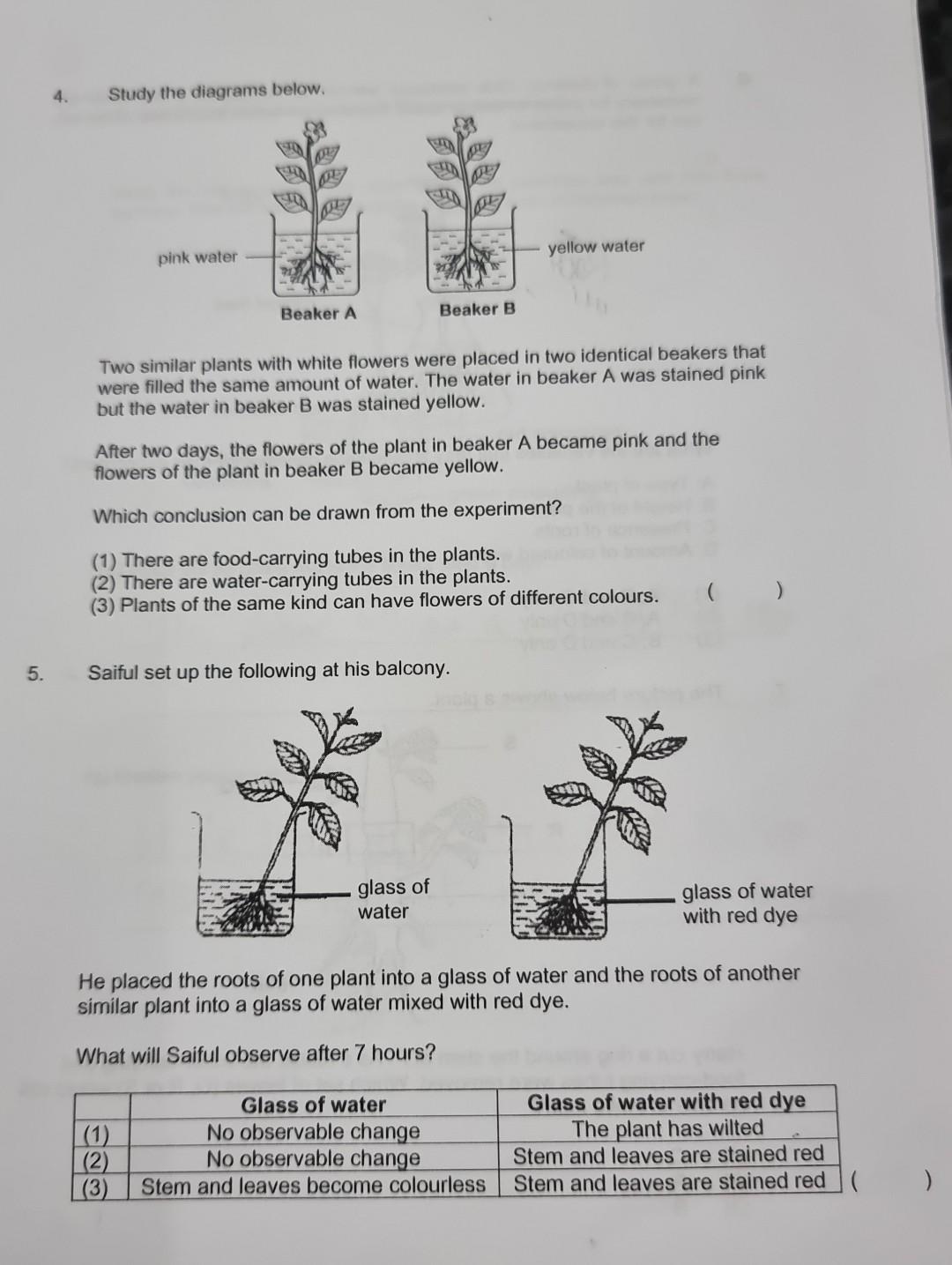Solved 4. Study the diagrams below. Two similar plants with | Chegg.com