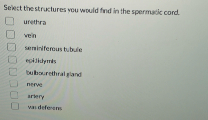 Select the structures you would find in the spermatic | Chegg.com