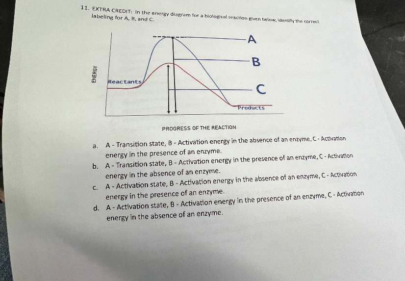 Solved EXTRA CREDIT: In the energy diagram for a biologital | Chegg.com