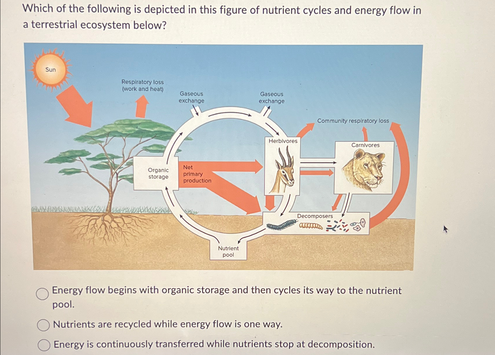 Solved Which of the following is depicted in this figure of | Chegg.com