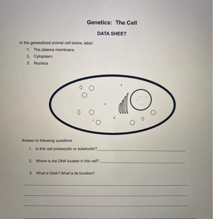 Solved Genetics: The Cell DATA SHEET In the generalized | Chegg.com