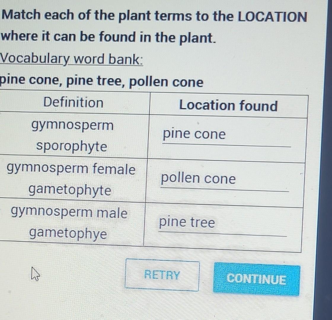 Solved Match each of the plant terms to the LOCATION where | Chegg.com