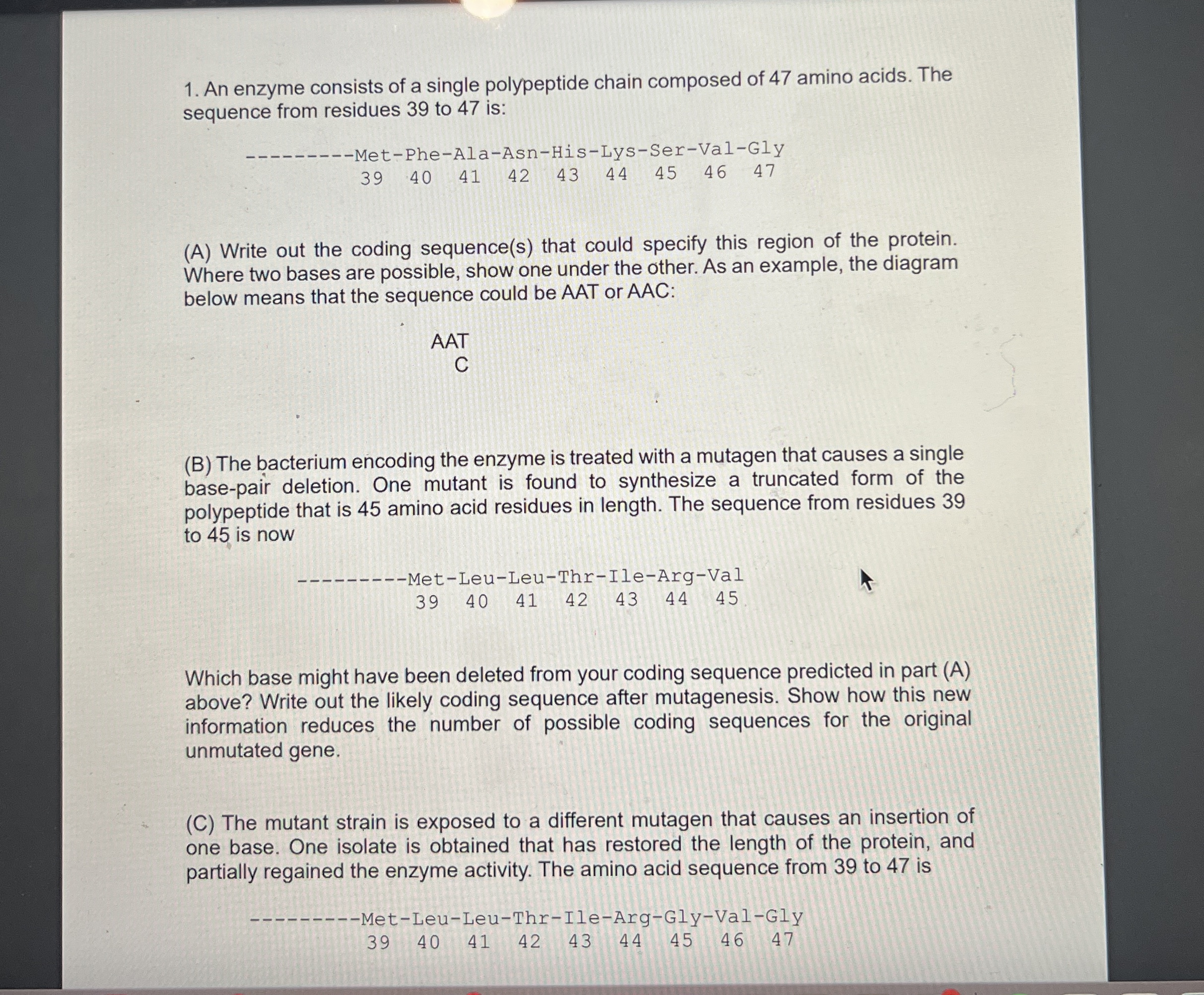 Solved An enzyme consists of a single polypeptide chain | Chegg.com