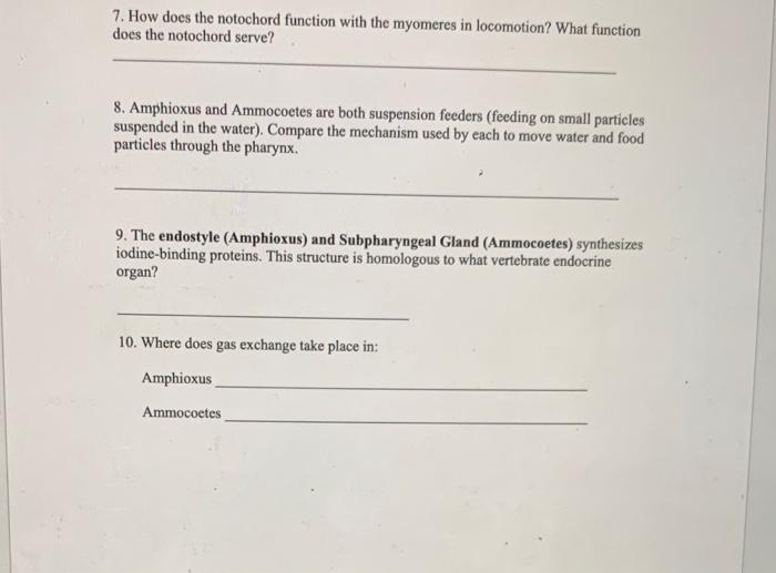 Solved 7. How does the notochord function with the myomeres | Chegg.com