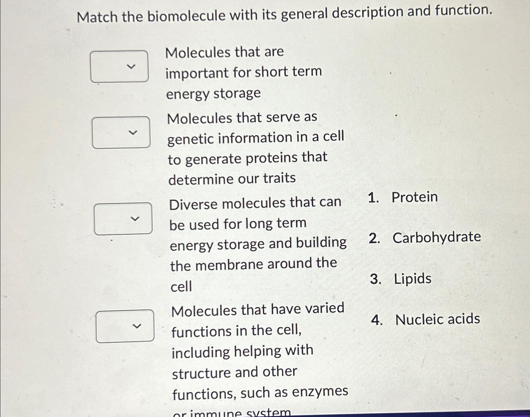 Solved Match the biomolecule with its general description | Chegg.com