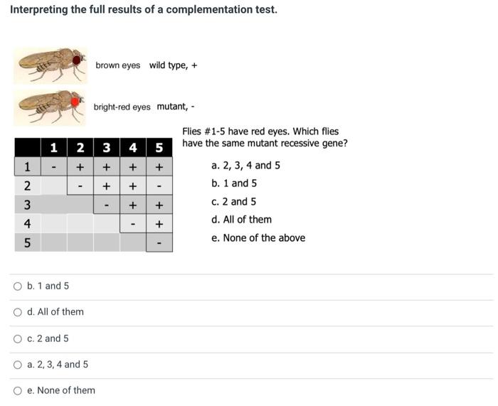 Solved Interpreting the full results of a complementation | Chegg.com