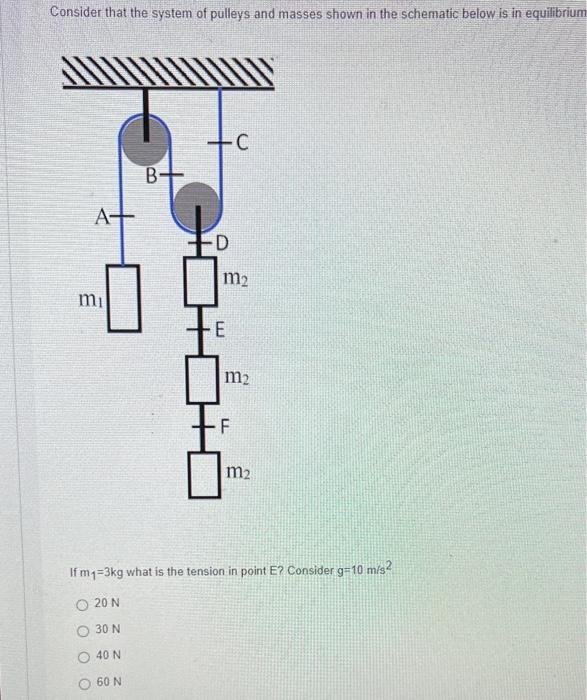 [Solved]: Consider that the system of pulleys and masses sh