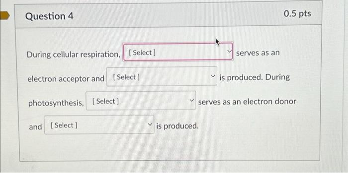 Solved Question 4 During cellular respiration, [Select] | Chegg.com