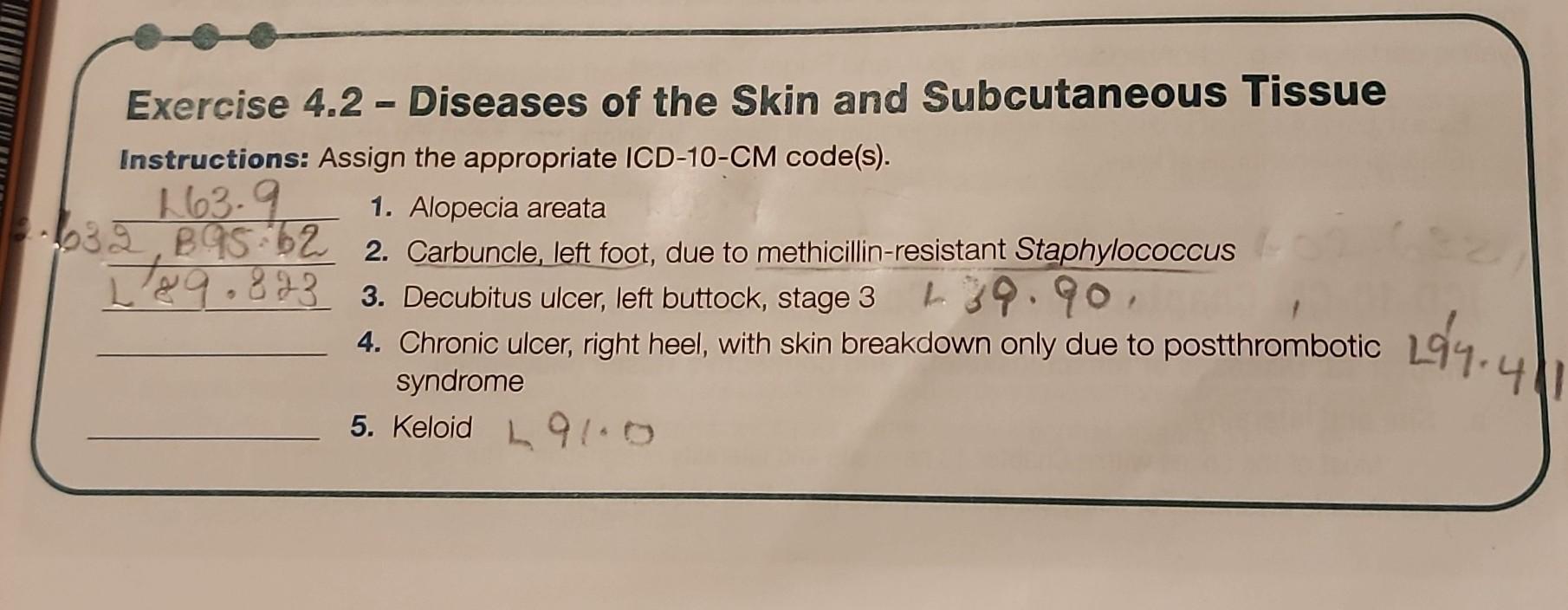 Solved Exercise 4.2 - Diseases of the Skin and Subcutaneous | Chegg.com