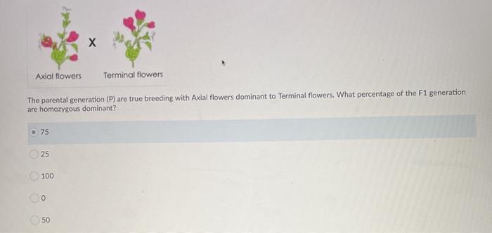 Solved х Axial flowers Terminal flowers The parental | Chegg.com