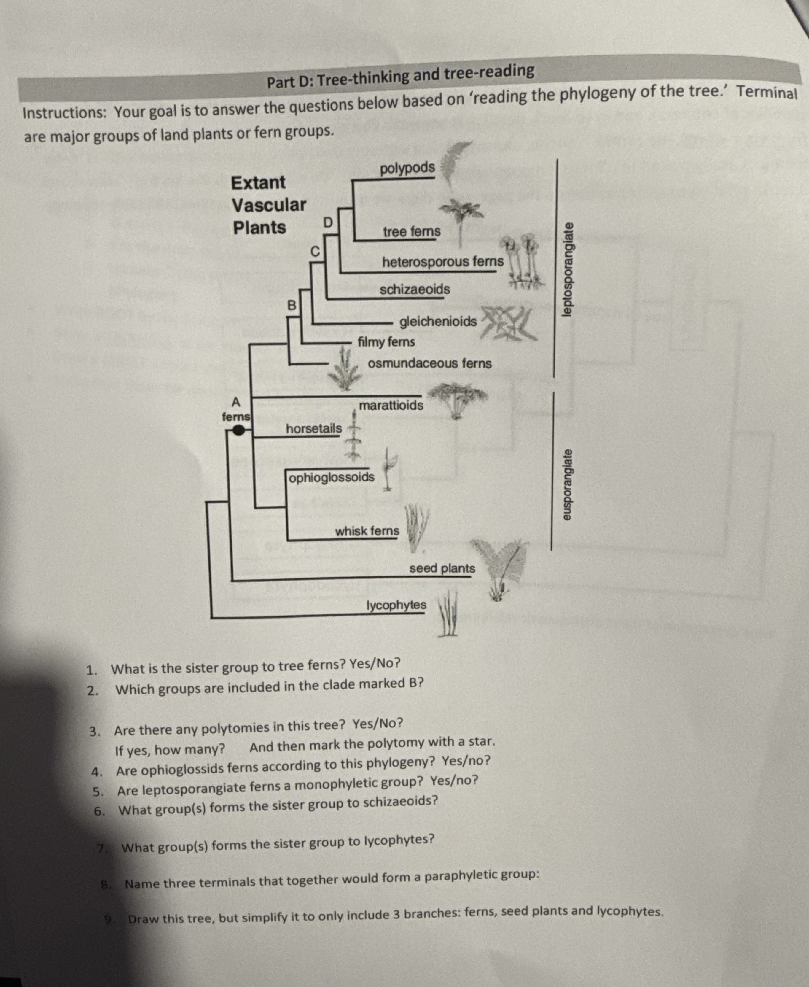 Solved Part D: Tree-thinking and tree-readingInstructions: | Chegg.com