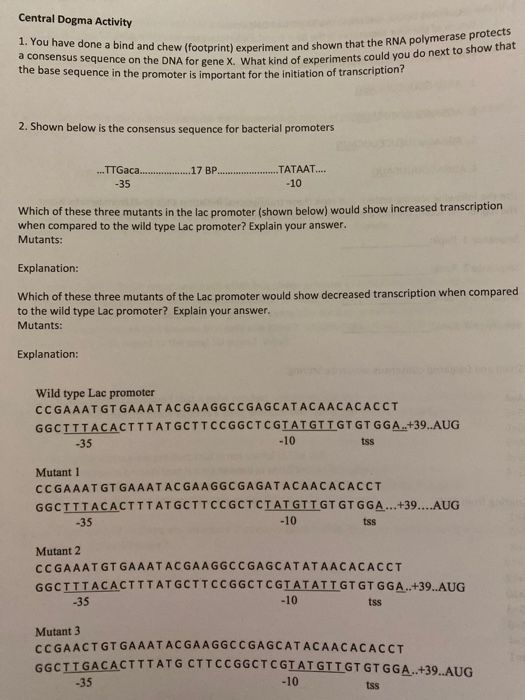 Central Dogma Activity 1. You have done a bind and | Chegg.com