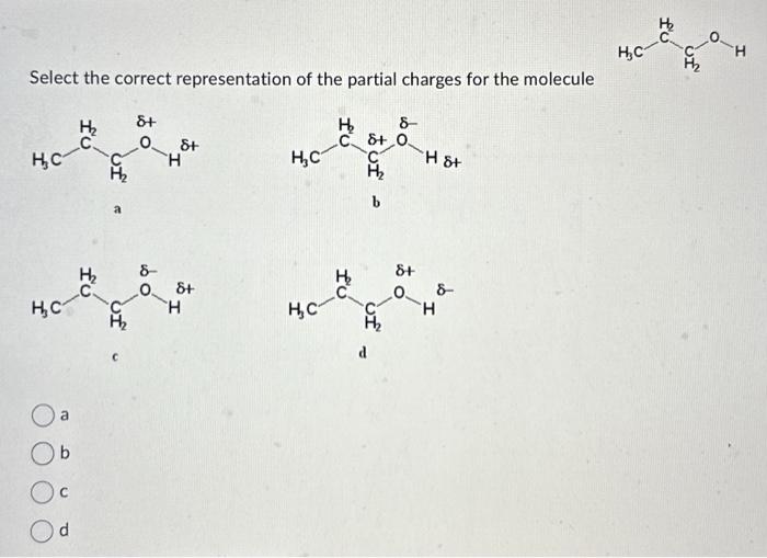 Solved Select the correct representation of the partial | Chegg.com