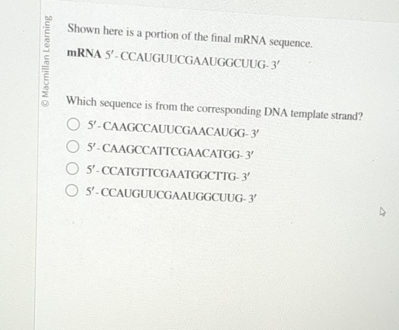 Solved Shown here is a portion of the final mRNA | Chegg.com