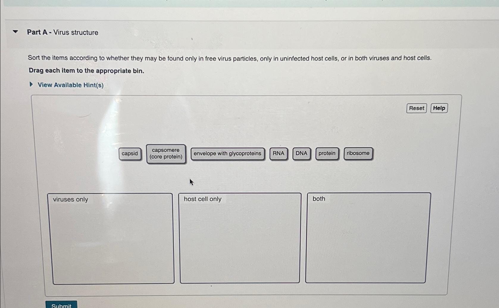 Solved Part A - ﻿Virus structureSort the items according to | Chegg.com