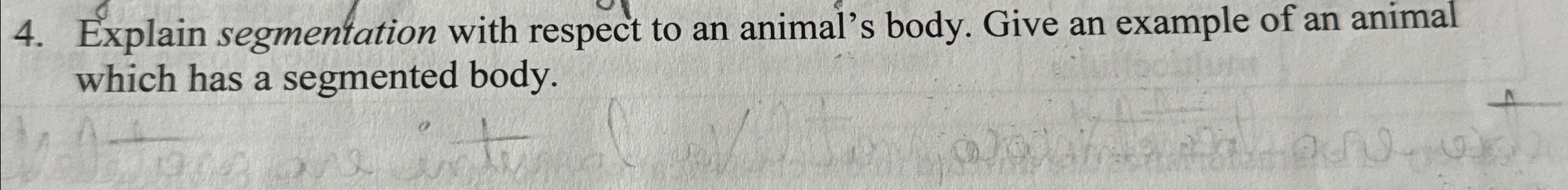 Solved Explain segmentation with respect to an animal's | Chegg.com