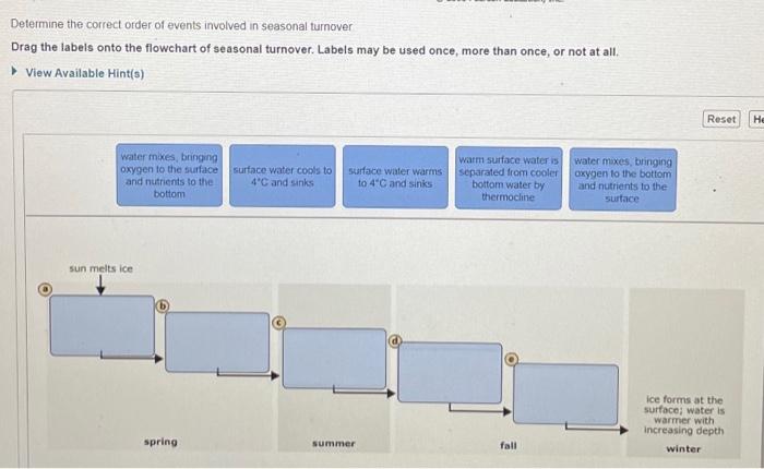 Solved Determine the correct order of events involved in | Chegg.com