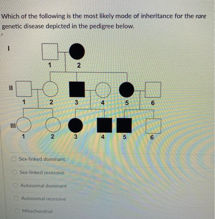 Solved Which of the following processes involve mitosis? | Chegg.com