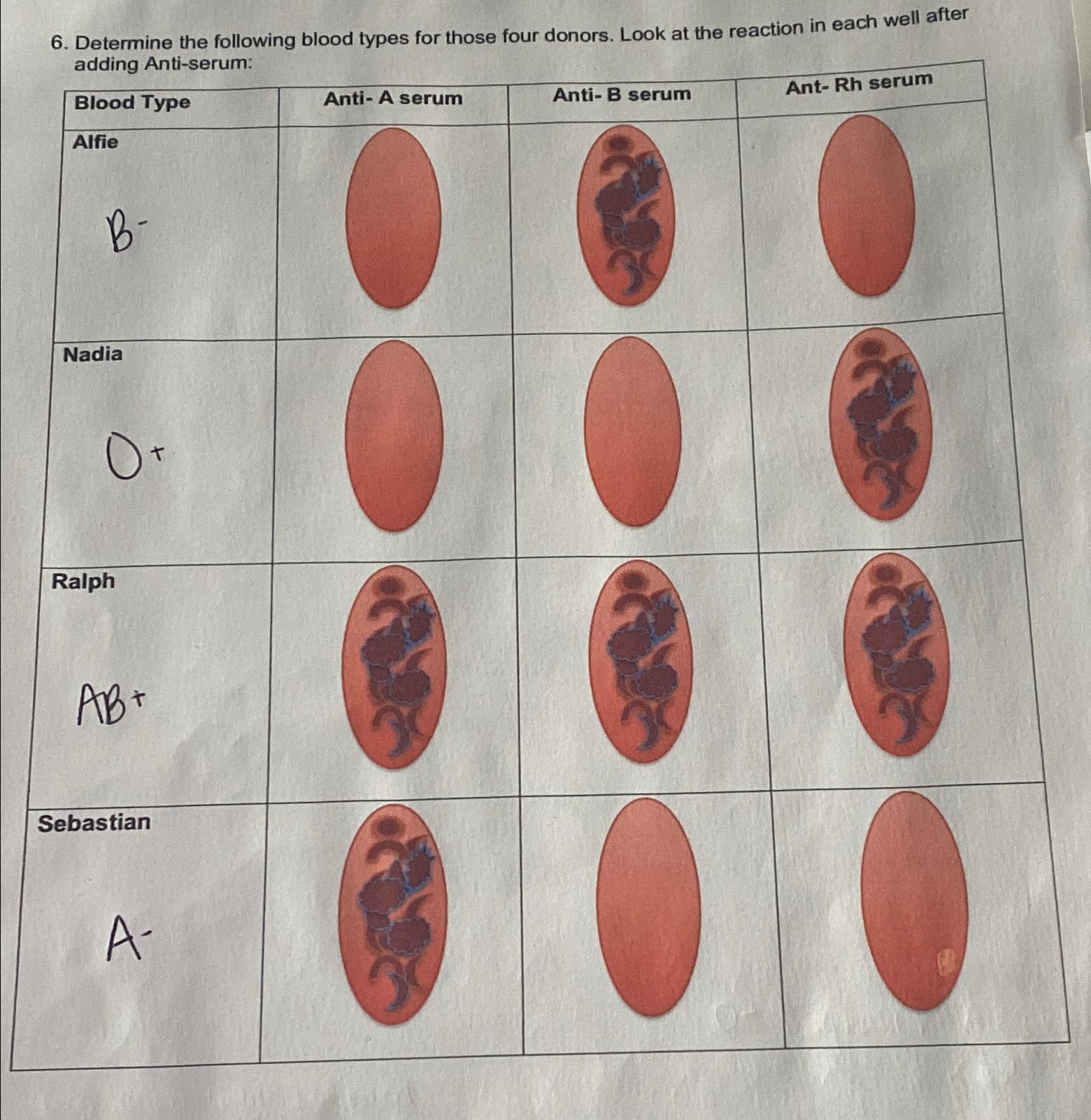 Solved Determine the following blood types for those four | Chegg.com