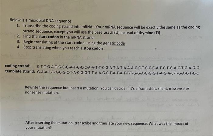 Solved Below is a microbial DNA sequence. 1. Transcribe the | Chegg.com
