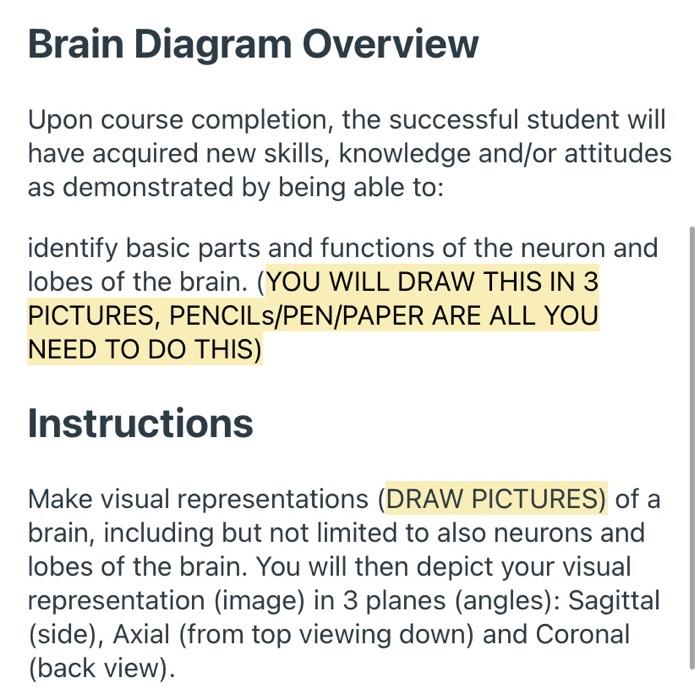 Solved Brain Diagram Overview Upon course completion, the | Chegg.com