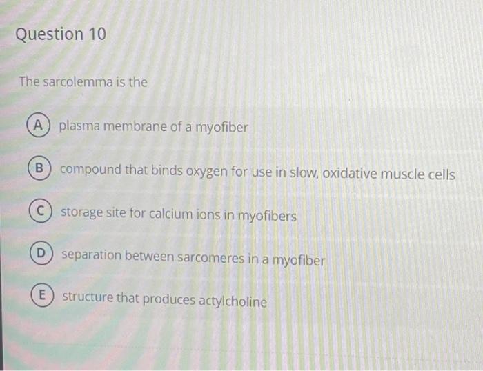 Solved The function of myoglobin is to bind oxygen for | Chegg.com