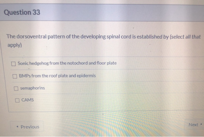 Solved Question 30 If you were a quadruped (a four-footed | Chegg.com