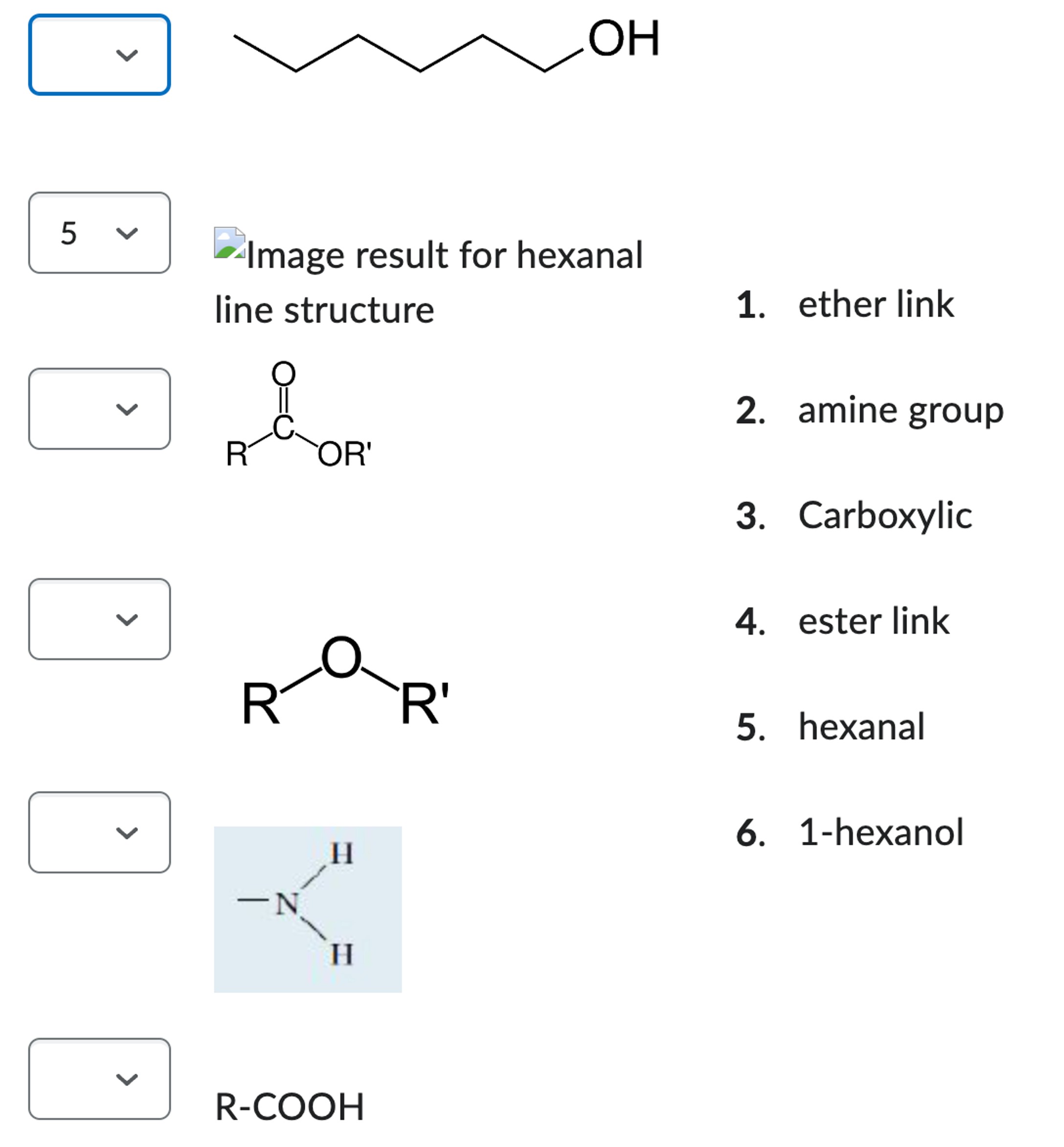Solved Image result for hexanalline structureether linkamine | Chegg.com